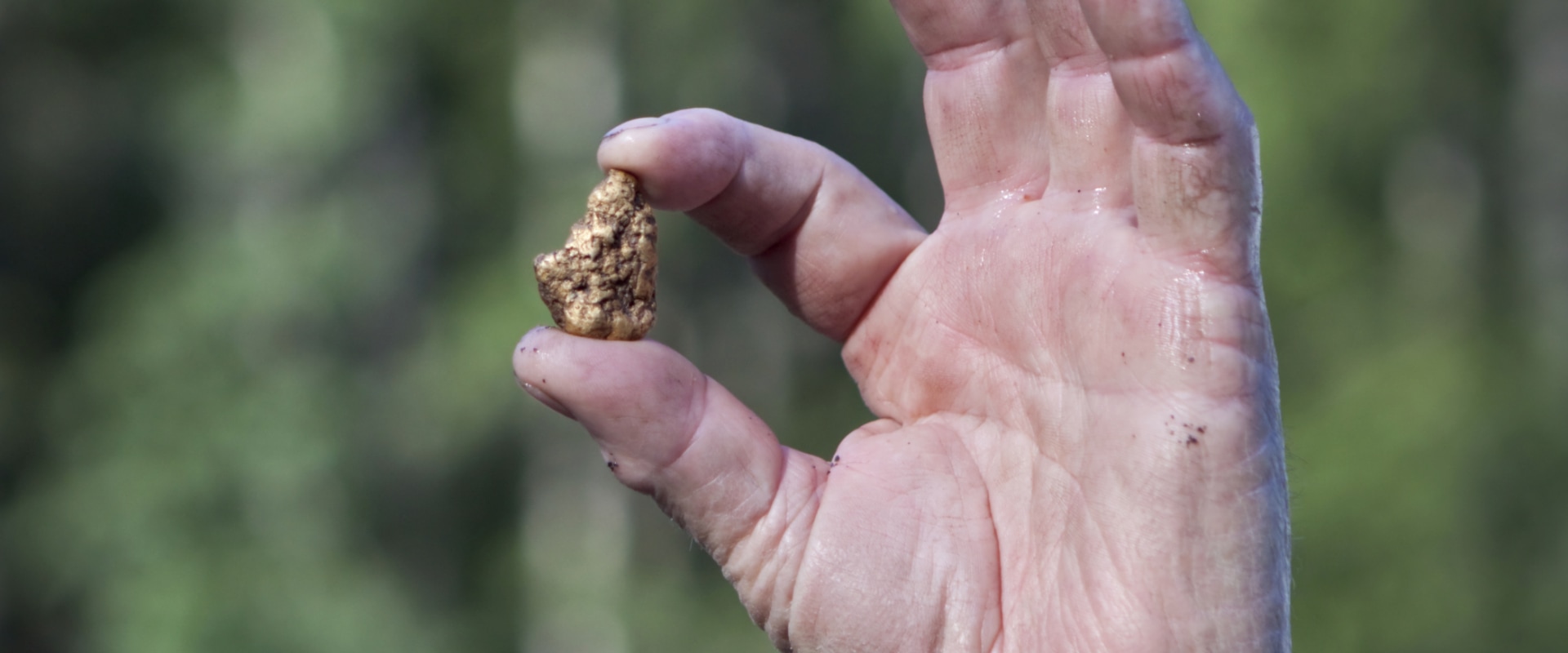 Who mined the first gold?